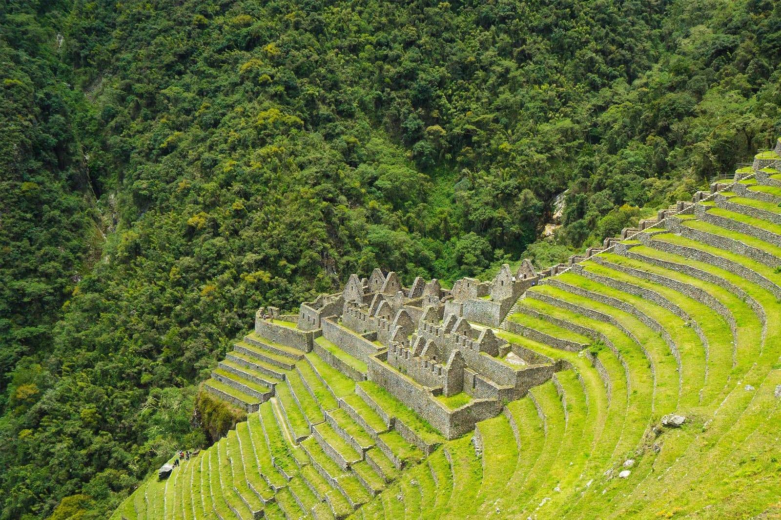 Professional Travel Planner | Flaskpacker Connect