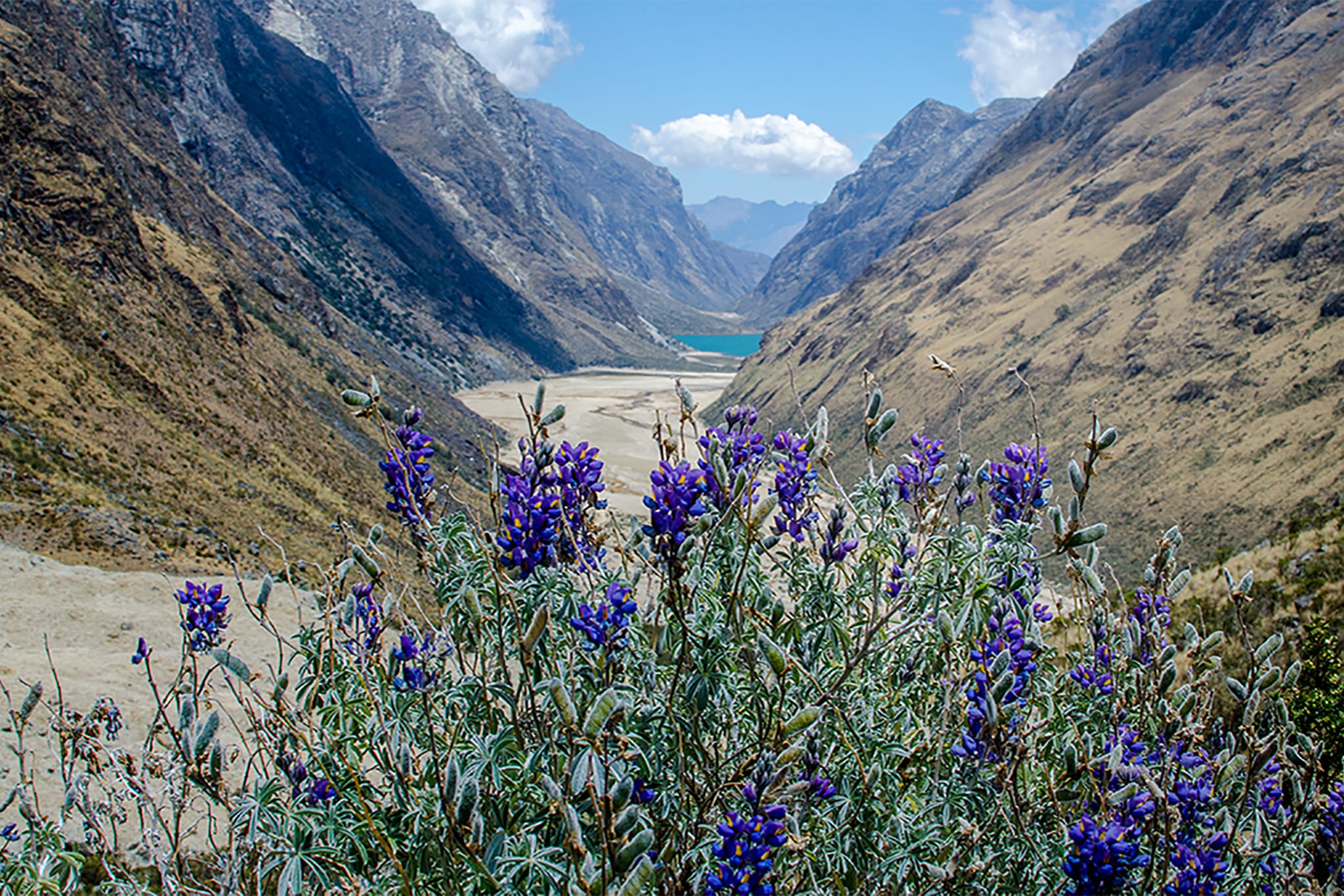Santa Cruz Trek Huaraz - 4 Days – Peru – FlashpackerConnect Adventure ...