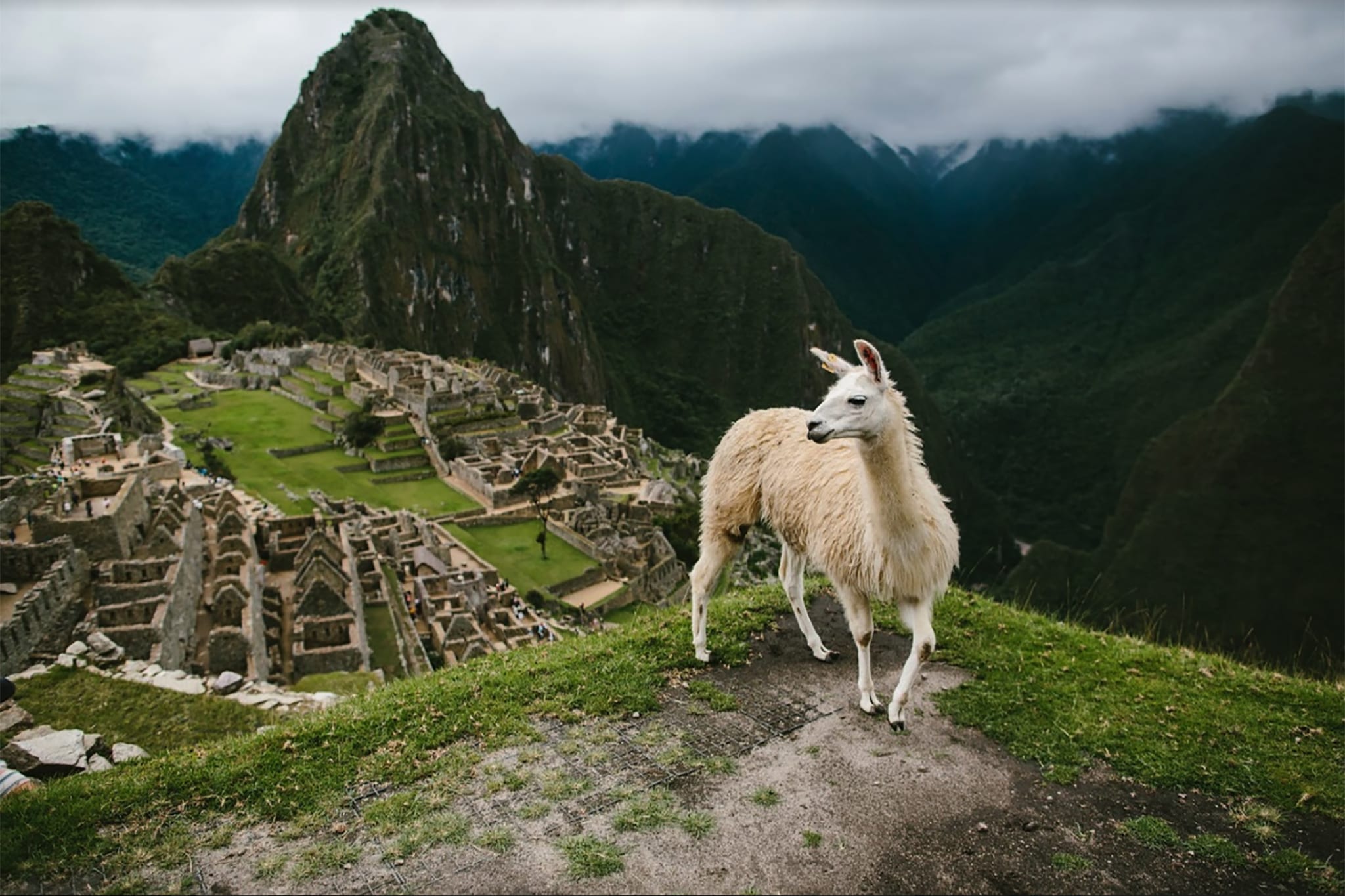 Ultimate Peru - 13 Days – Peru – FlashpackerConnect Adventure Travel
