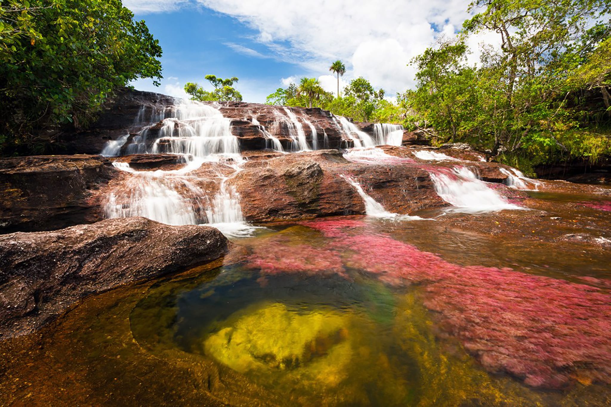 Caño Cristales River Trip - 4 Days – Colombia – FlashpackerConnect ... Caño Cristales River Trip - 4 Days – Colombia – FlashpackerConnect ...