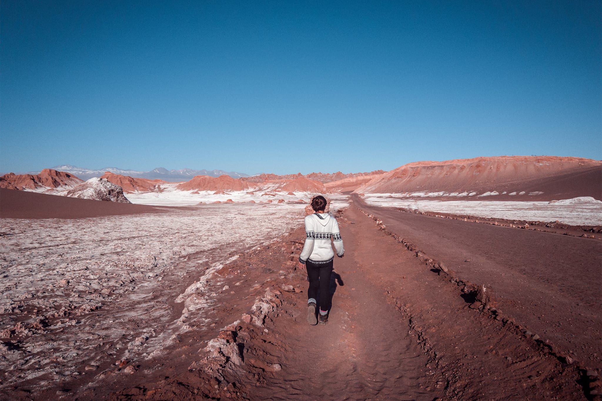 Best of the Atacama Desert - 4 Days – Chile – FlashpackerConnect ...