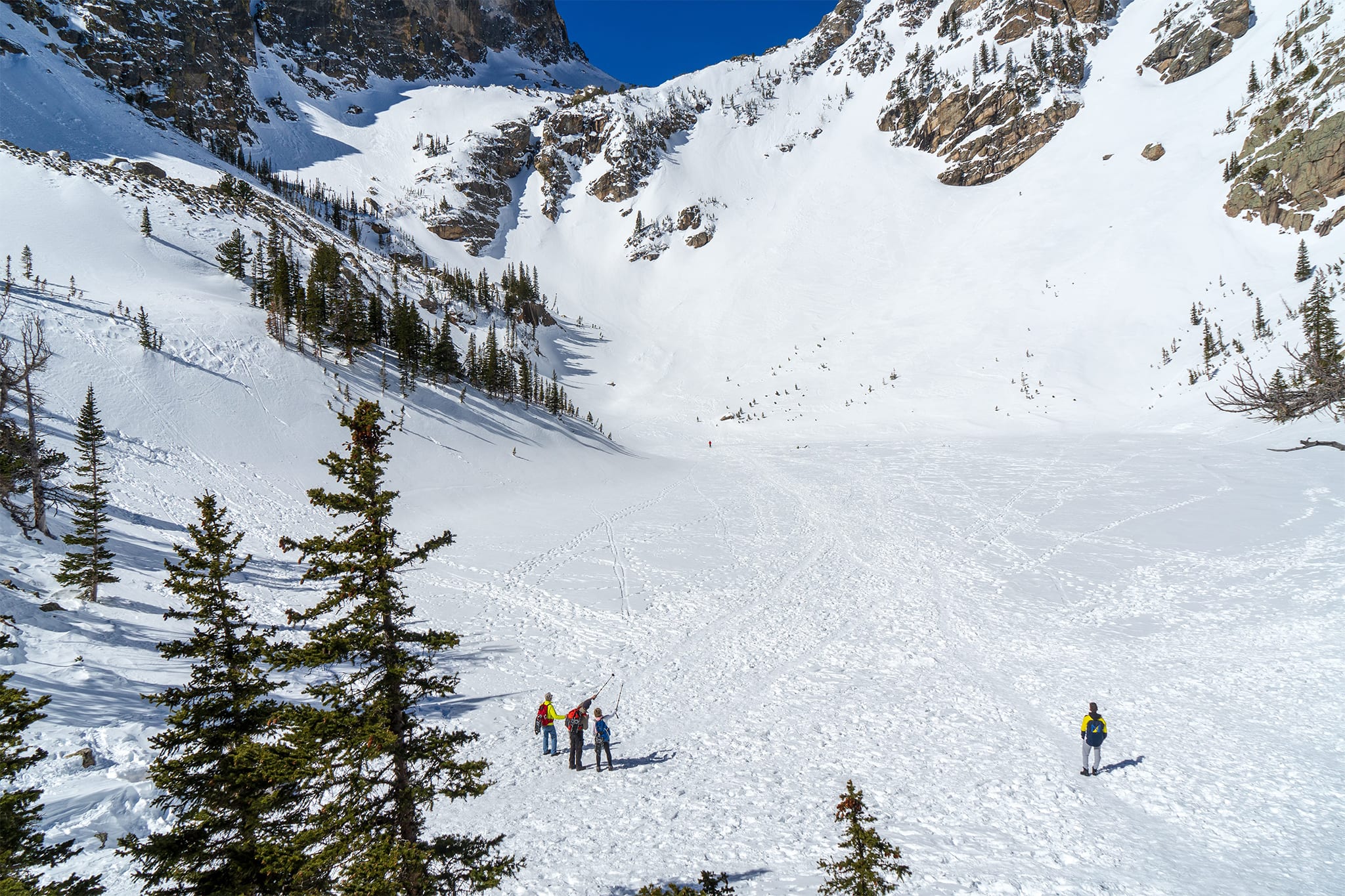 Snowshoe Adventure, Rocky Mountain National Park - 1 Day – United ...