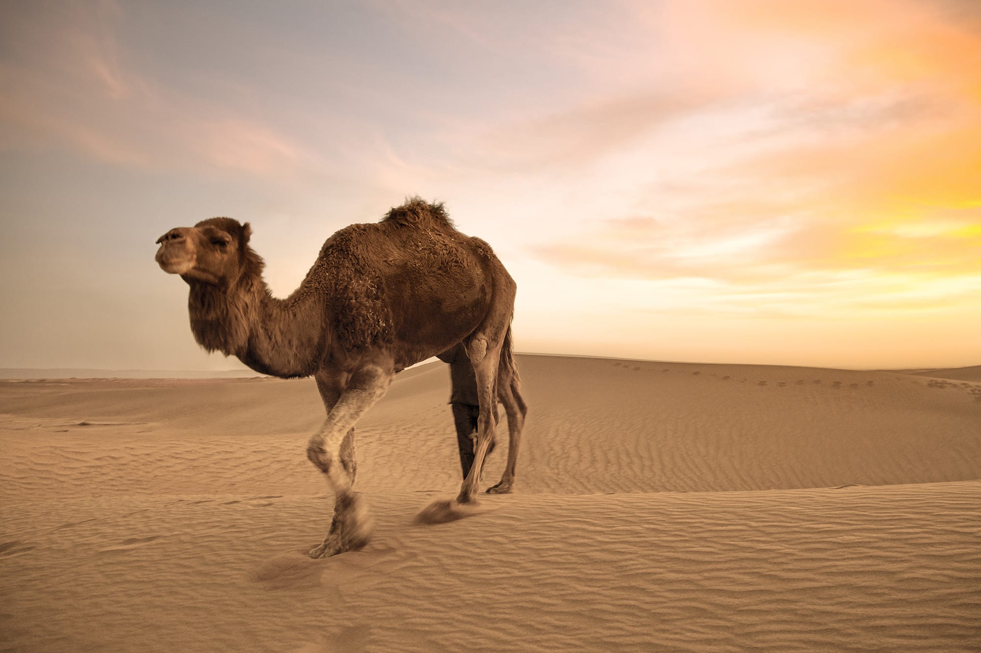 Hiking Remote Sand Dunes of Morocco - 6 Days – Morocco ...