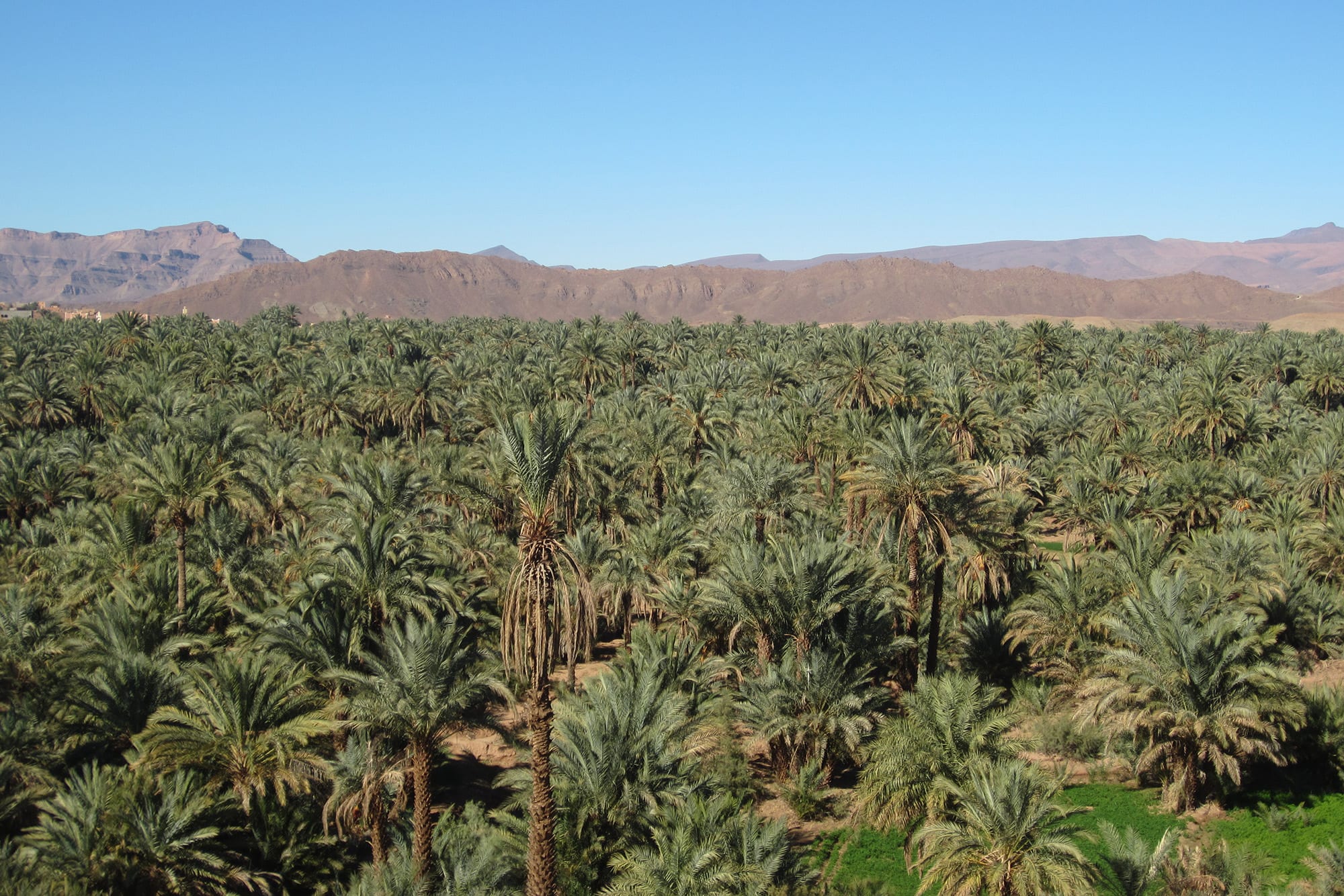 Hiking Remote Sand Dunes of Morocco - 6 Days – Morocco ...