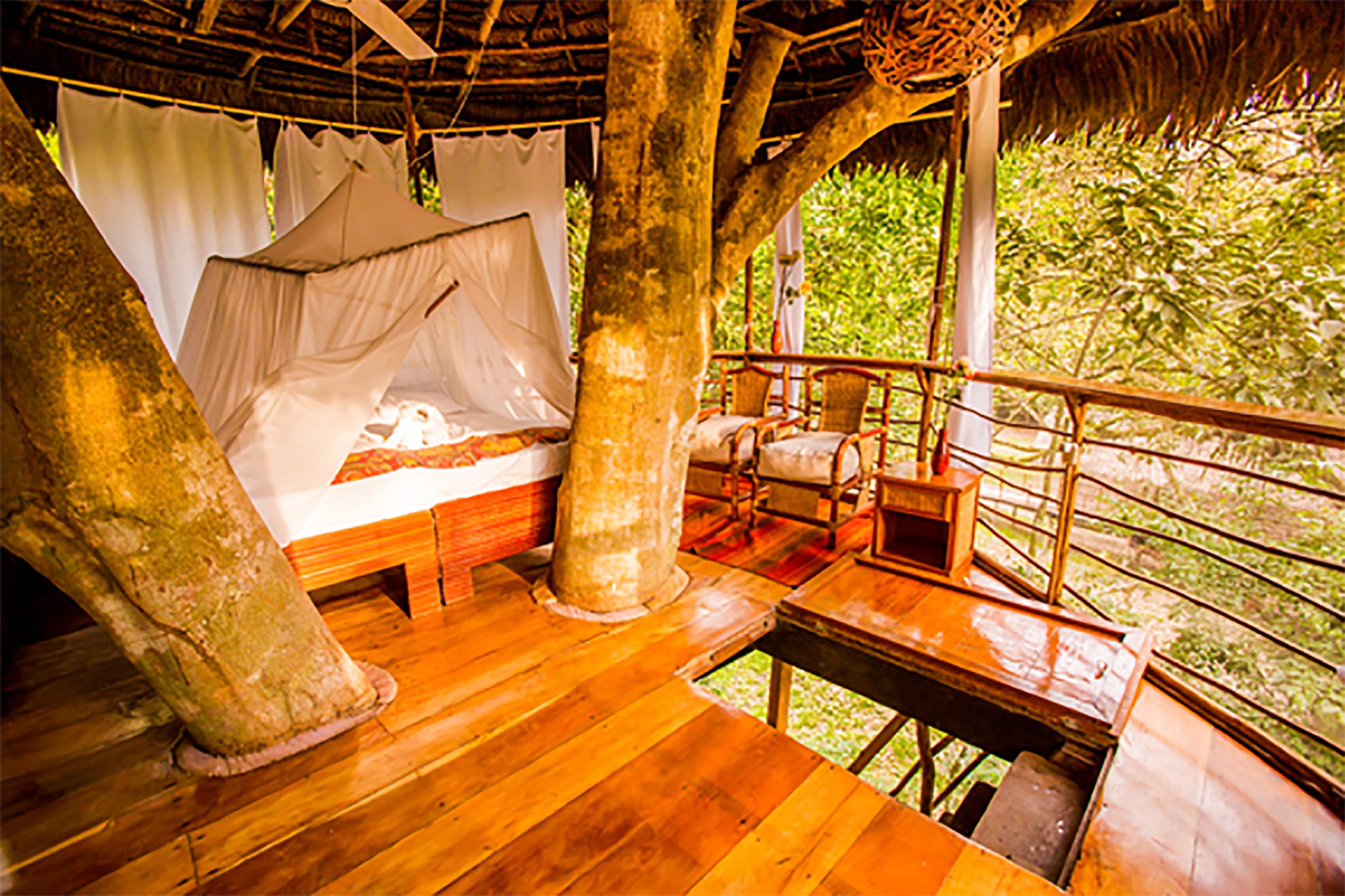 Treehouse Lodge - Amazon Jungle Iquitos: 3-6 Days – Peru ...