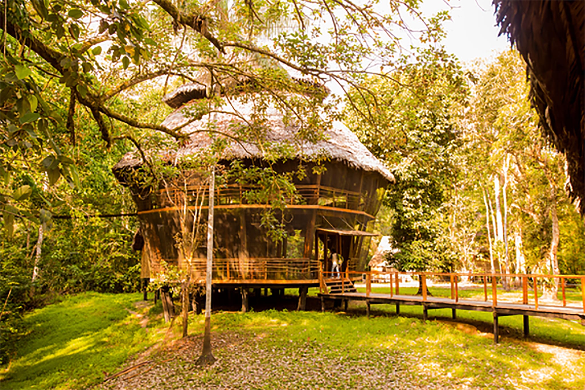 Treehouse Lodge - Amazon Jungle Iquitos: 3-6 Days – Peru ...