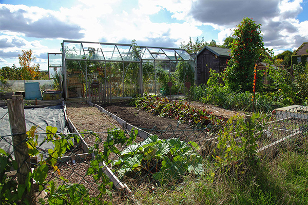 Olney Town Council | Facilities