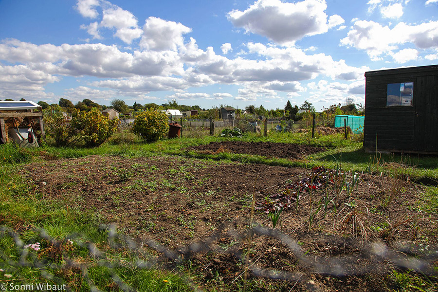 Olney Town Council | Allotments