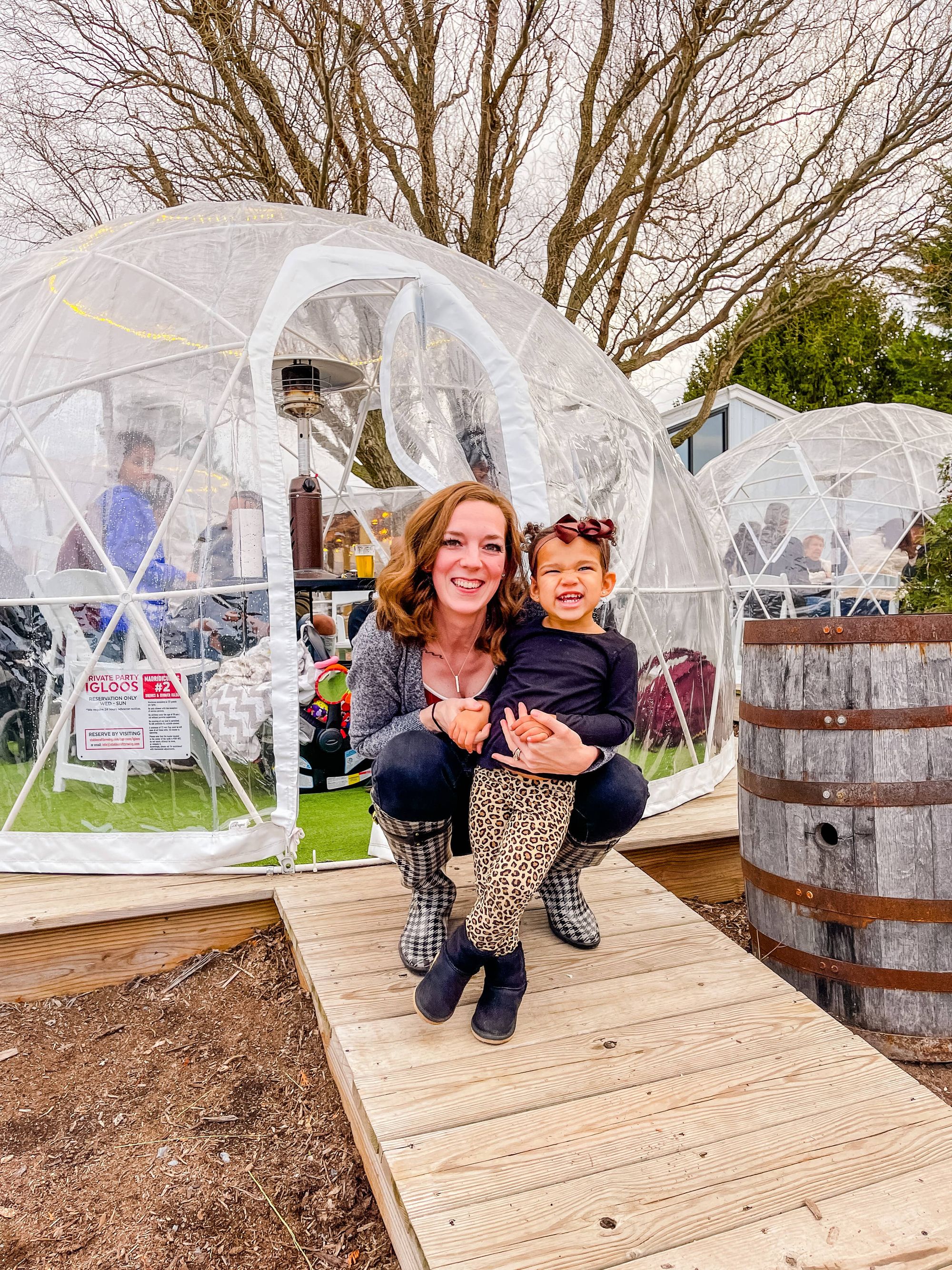 Igloo Booking Page - SCB