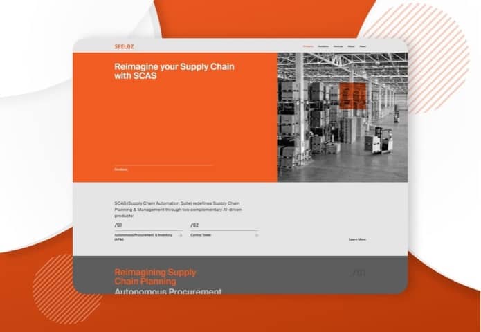 Seeloz | Case Study with Arch Web Design