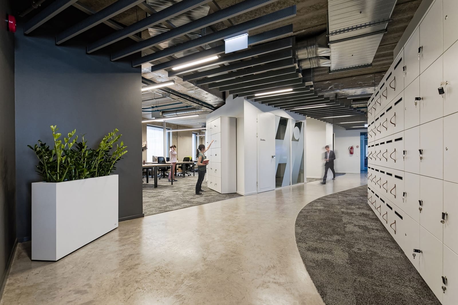 Il Prisma | TransferWise