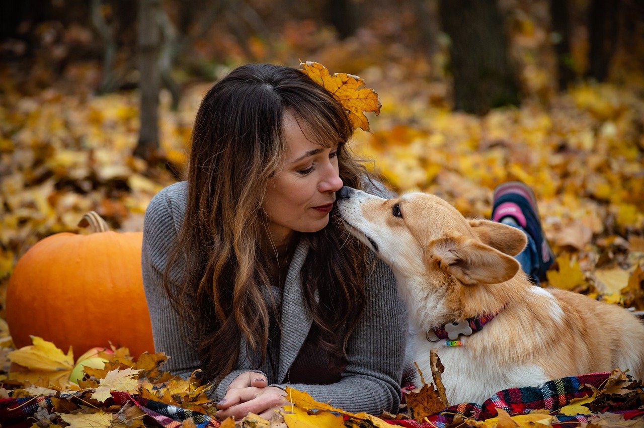Insta Worthy Fall Photoshoot Ideas For You And Your Furry Friend ...