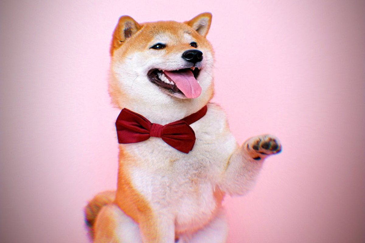 Pungent Puppy Paws - Fauna Care