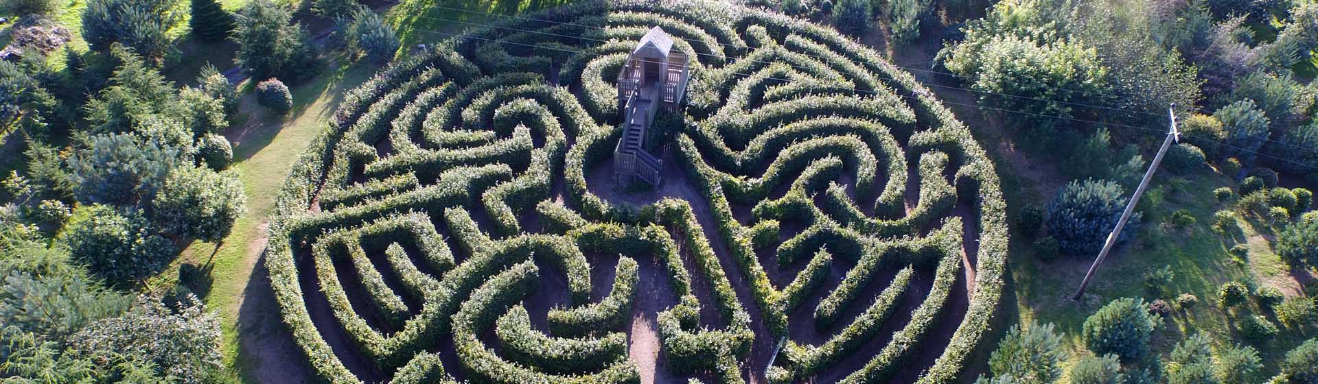 Things to Do in Cornwall – The Hidden Valley