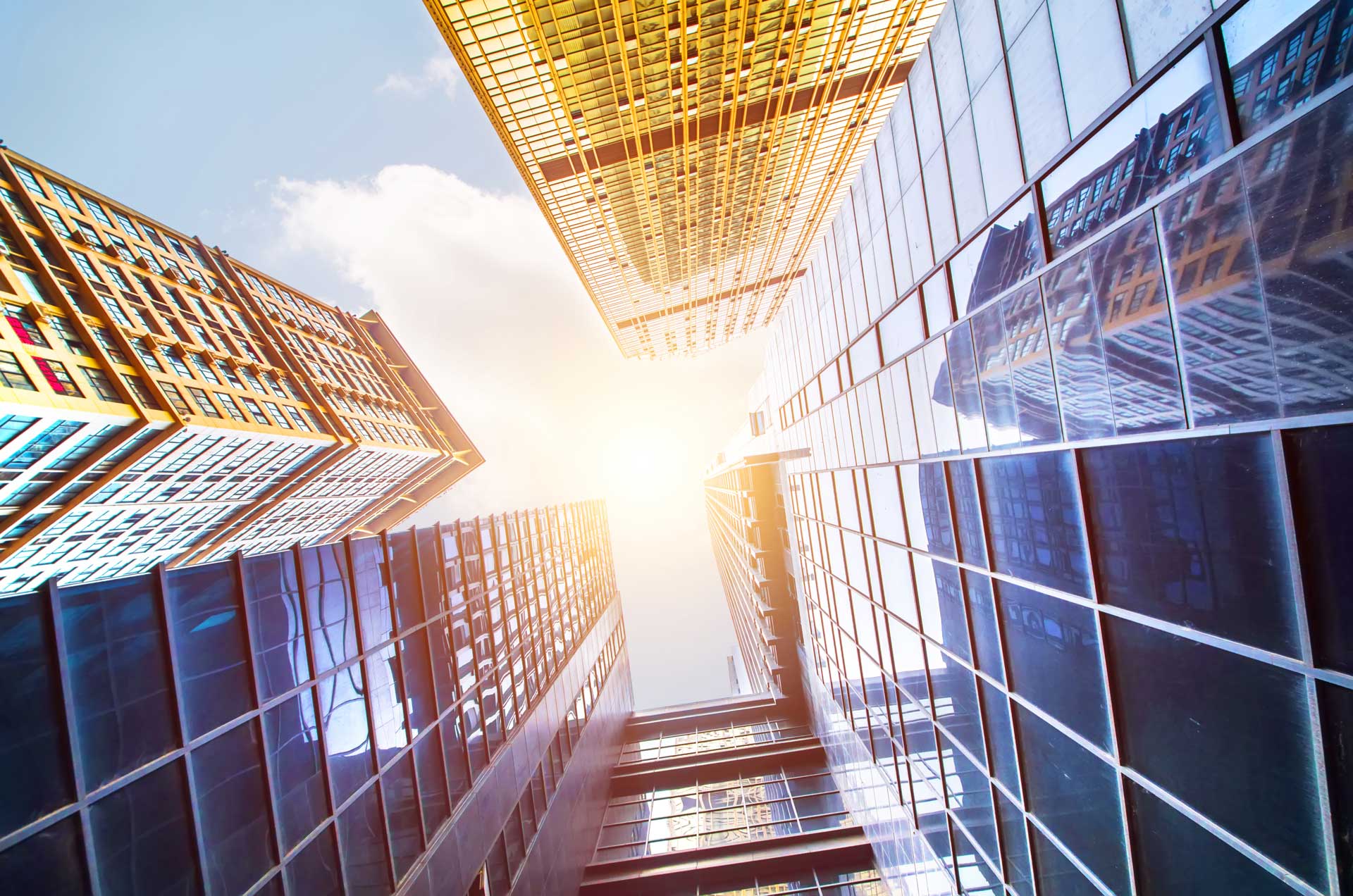 Three Different Types of Real Estate Ownership by Organizations