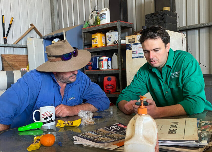 Mobble News - helping farmers succeed | Livestock Farm Management Software