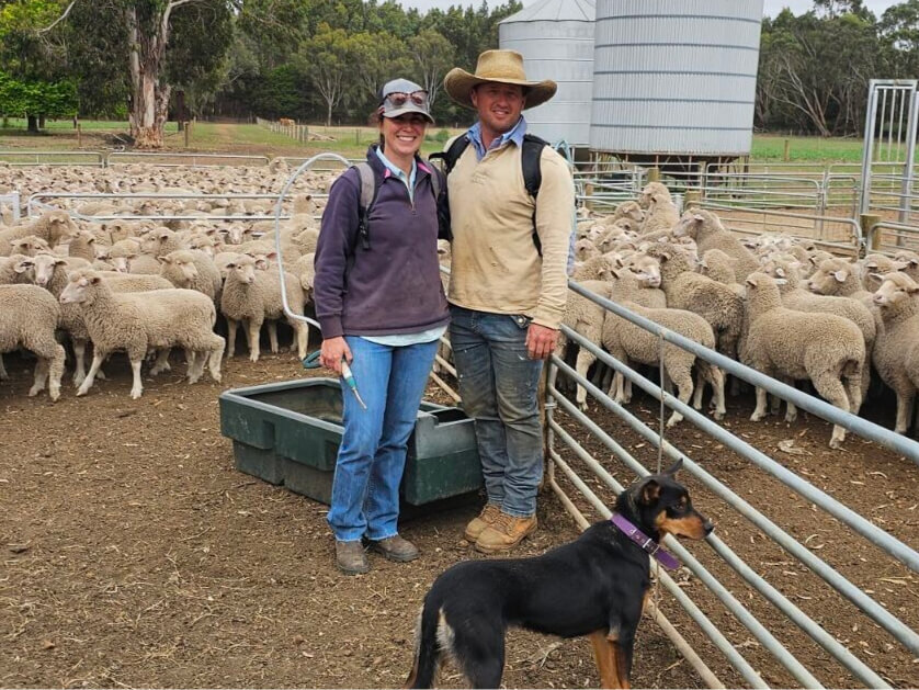 Alistair and Lexie's Farming Success with Mobble | Livestock Farm ...