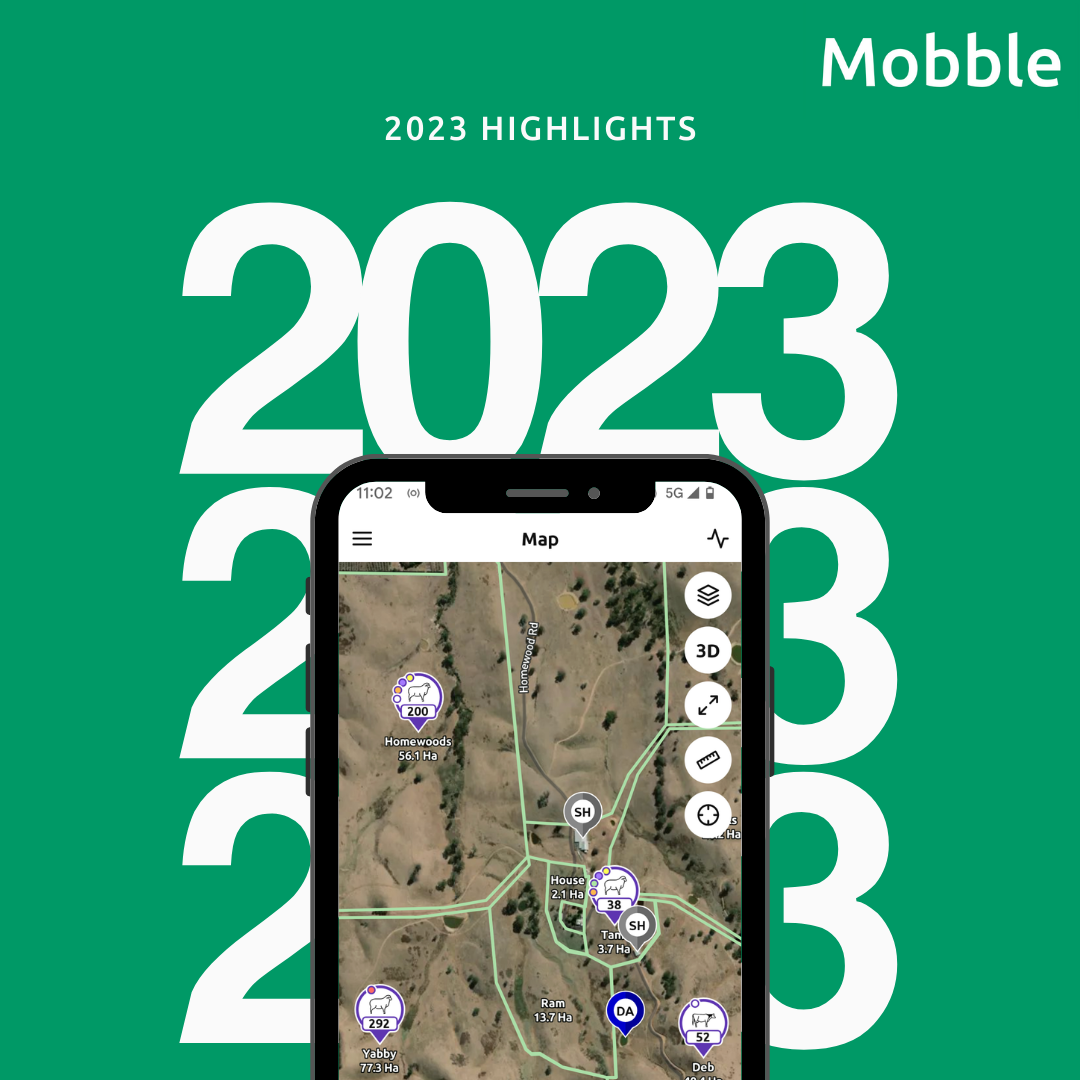 Reflecting on 2023: A Year of Growth and Connection at Mobble ...