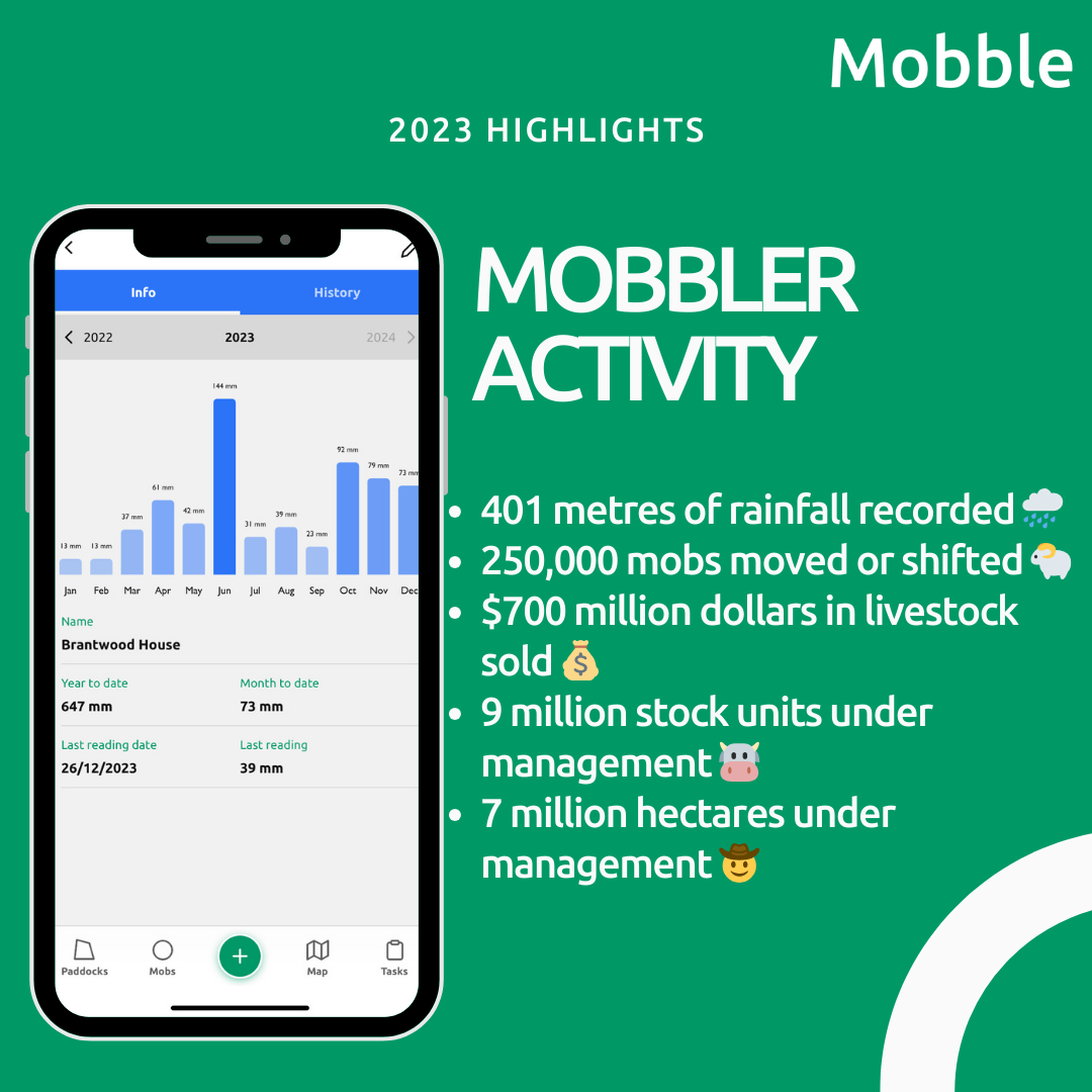 Reflecting on 2023: A Year of Growth and Connection at Mobble ...