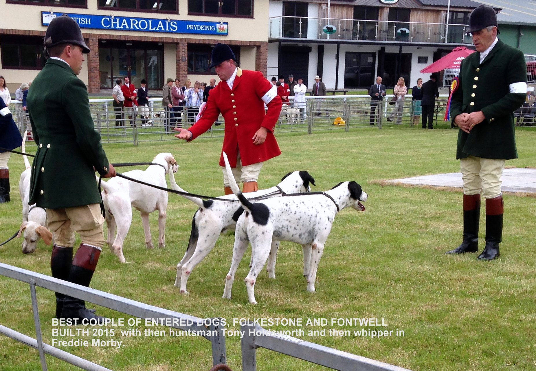 Duke of Beaufort's Hunt - Gallery