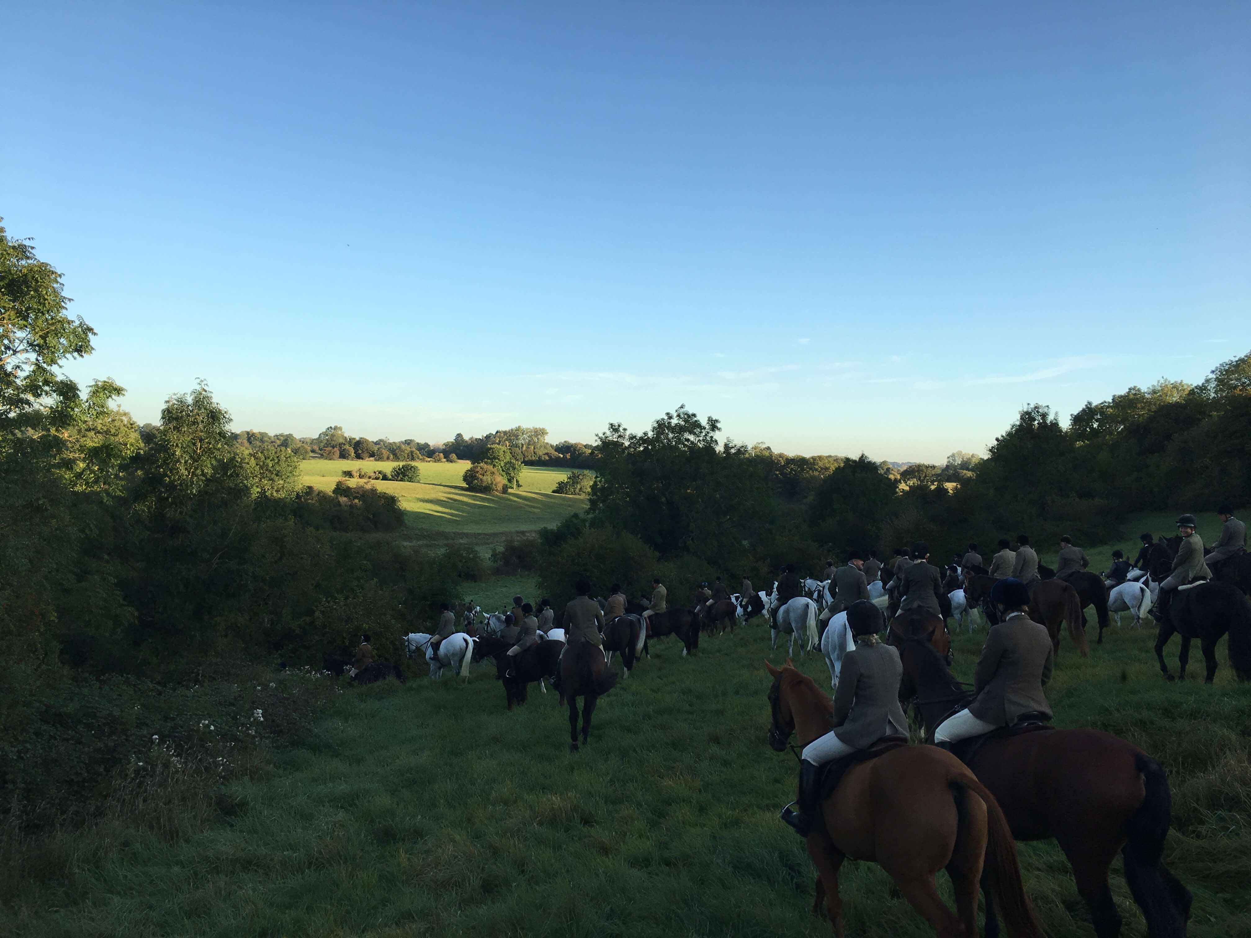 Duke of Beaufort's Hunt - Gallery