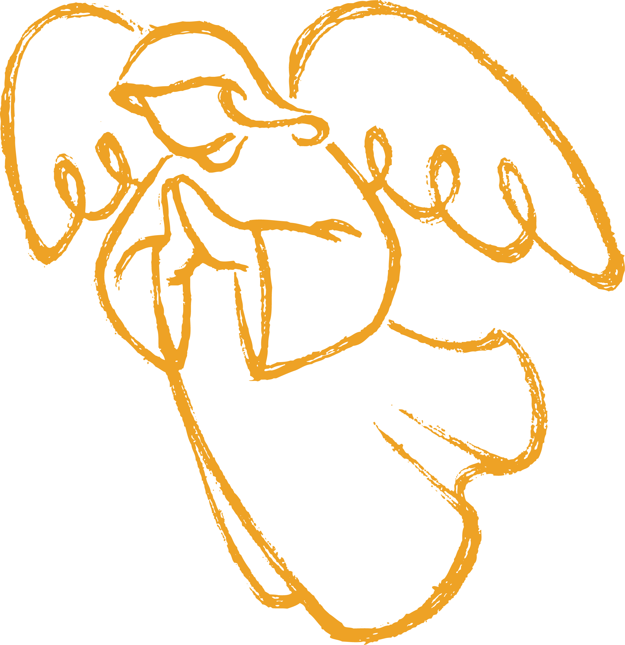 Home | Angels' Place