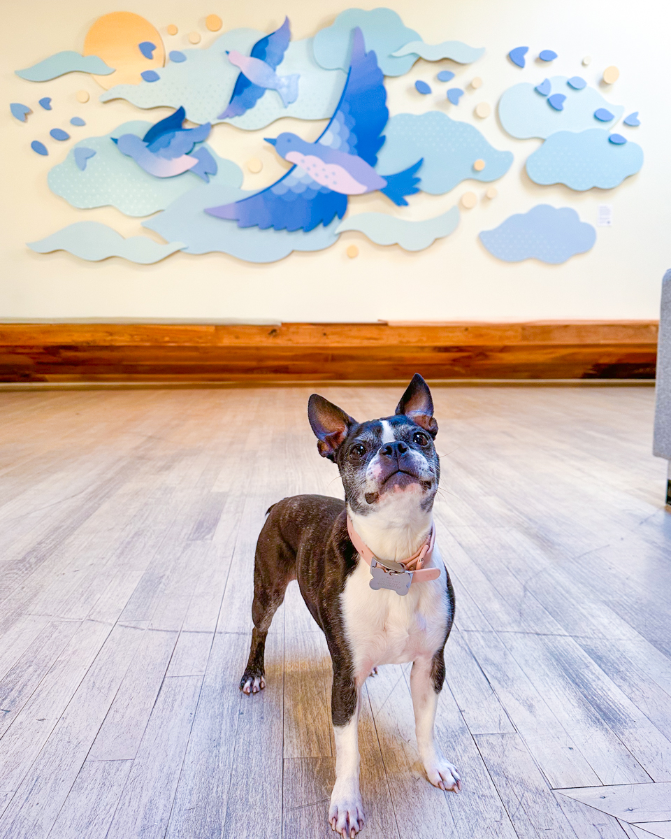 In the Clouds — Dimensional Mural | by Alice Lee