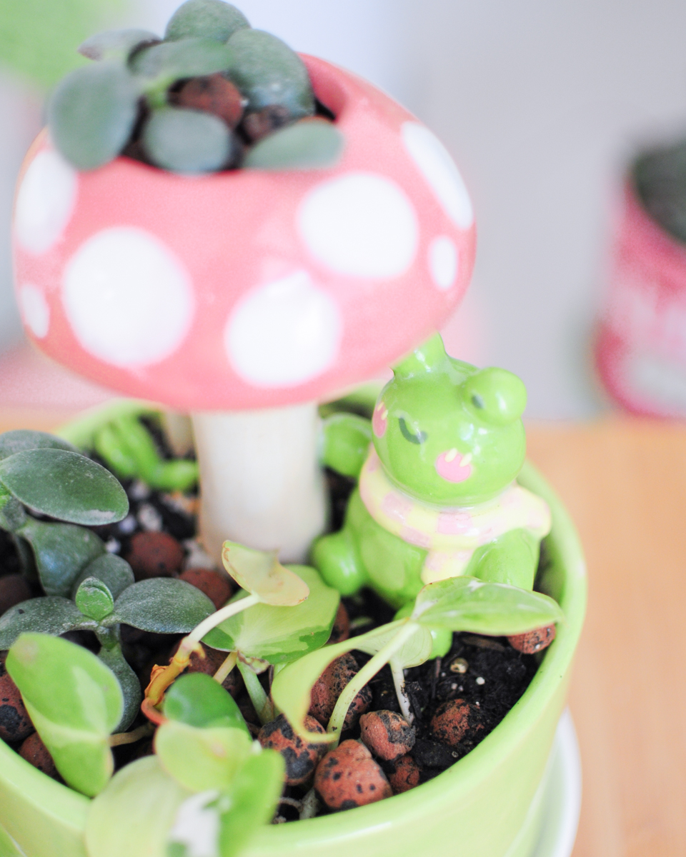 Froggy Planter | by Alice Lee
