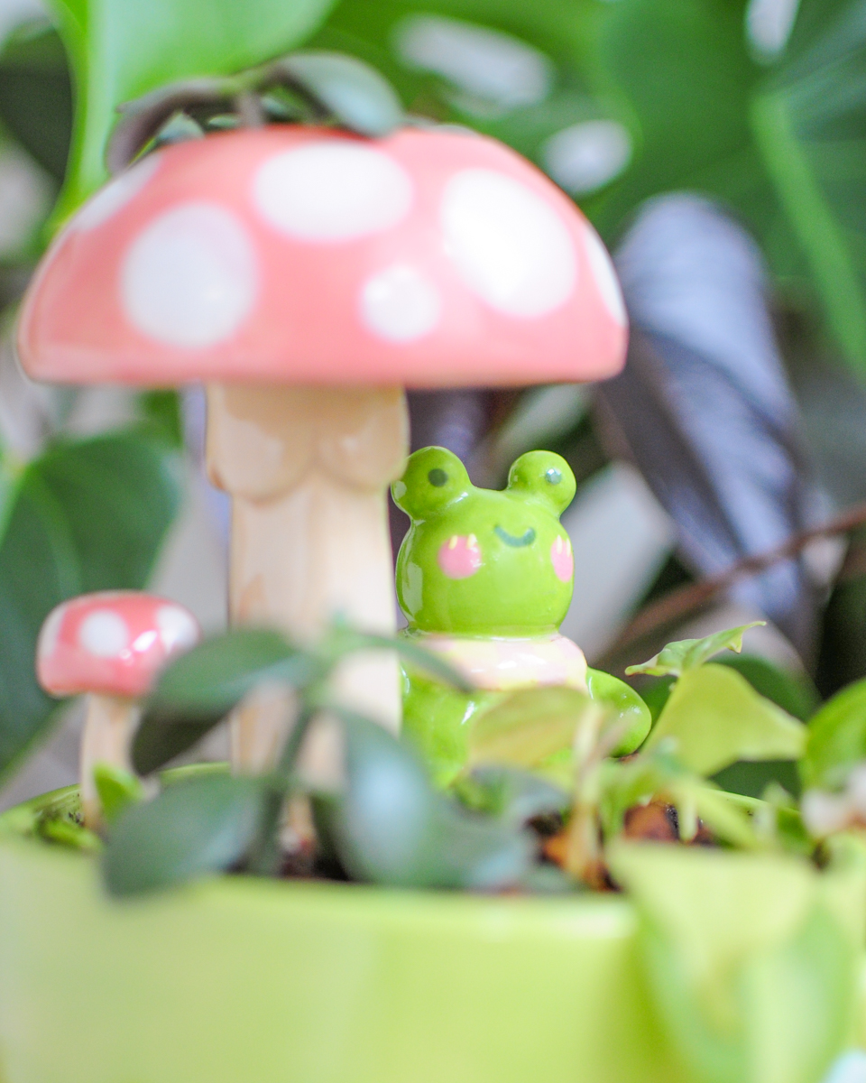 Froggy Planter | by Alice Lee