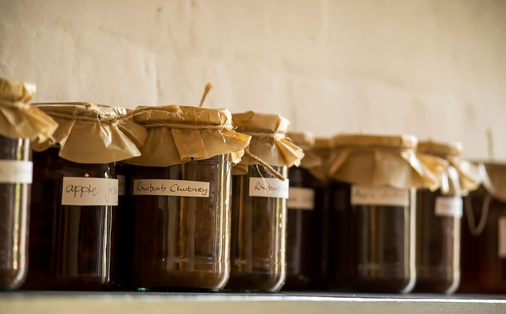 The 10 Best Rachel Lynde Quotes - Funny Moments From Everyone’s ...