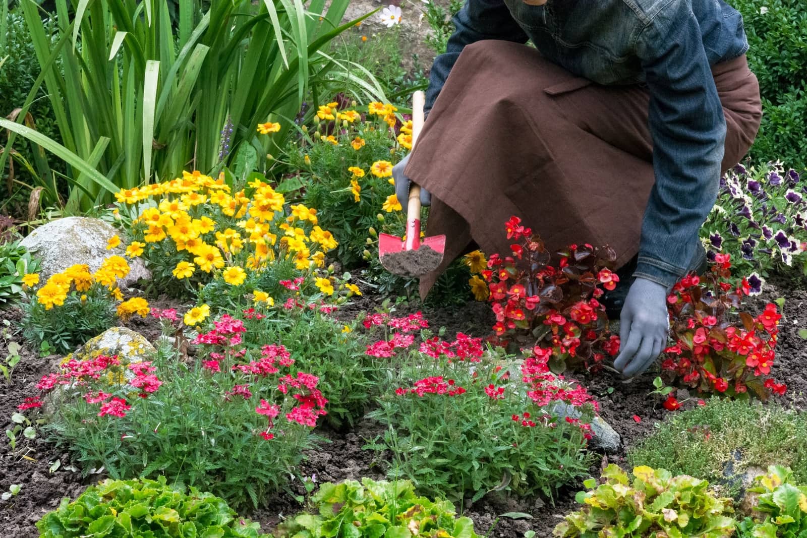 The Passing Of Matthew Cuthbert