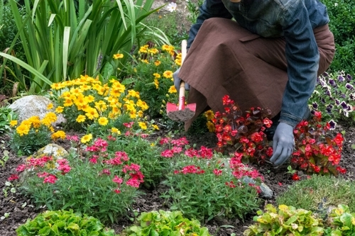 The Passing Of Matthew Cuthbert