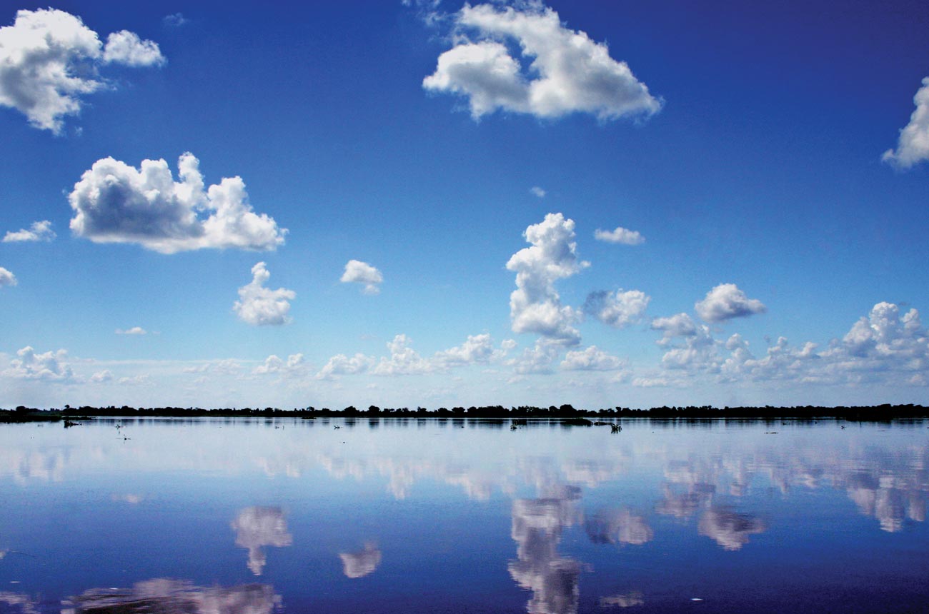 Paraguay Birding & Nature PBN