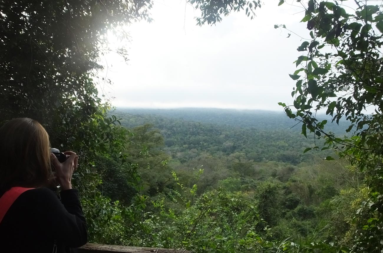 Paraguay Birding & Nature PBN