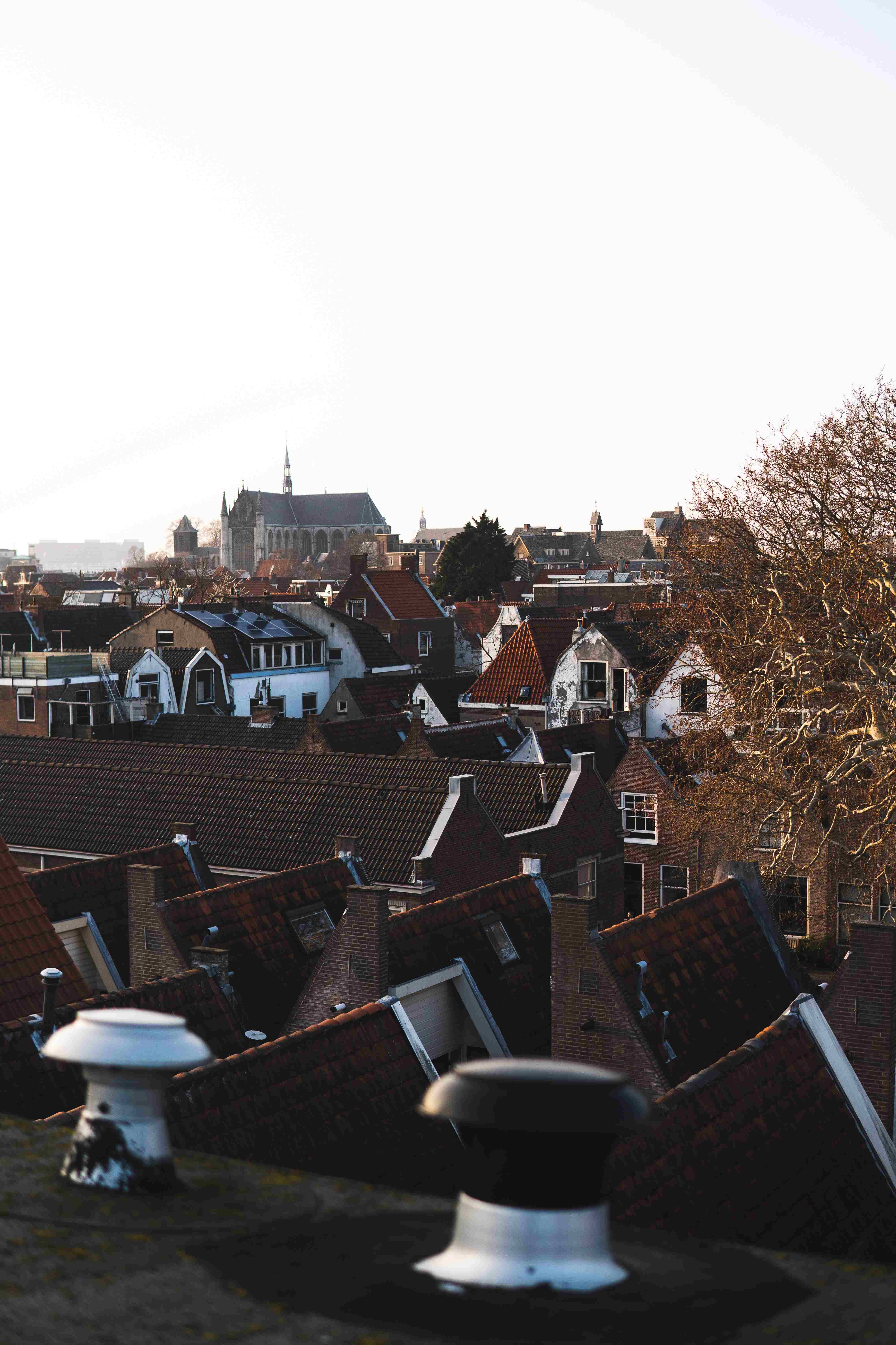 Projectleider voor de wijkaanpakken voor de eerste aardgasvrije wijken ...