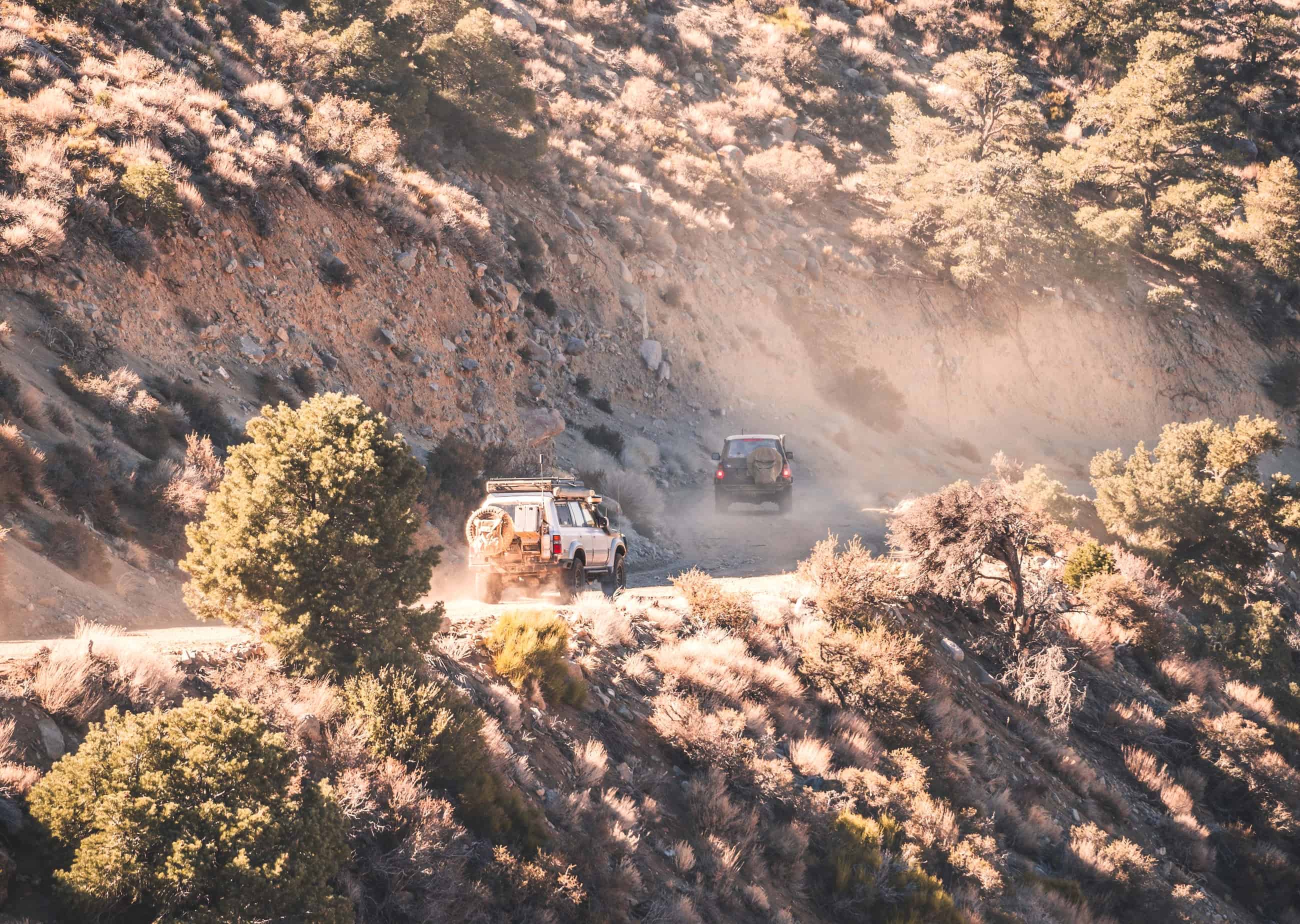 Delta Vehicle Systems - FJ80/FZJ80 Modular Rear Bumper