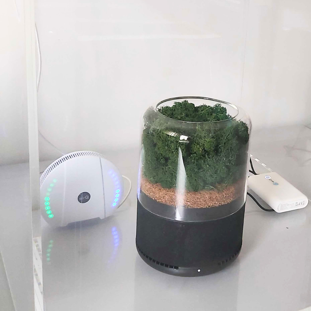 Briiv: The most sustainable air filter? The air-Q Lab Test