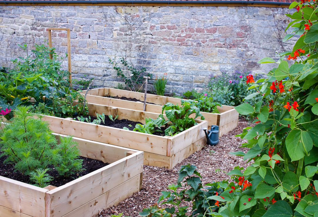 4 Easy Steps To Design A New Garden Bed - iScape Tips
