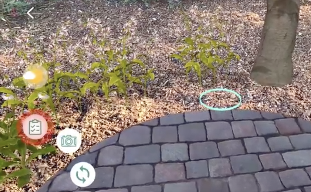 Step-By-Step Guide: Create Immersive Designs With iScape