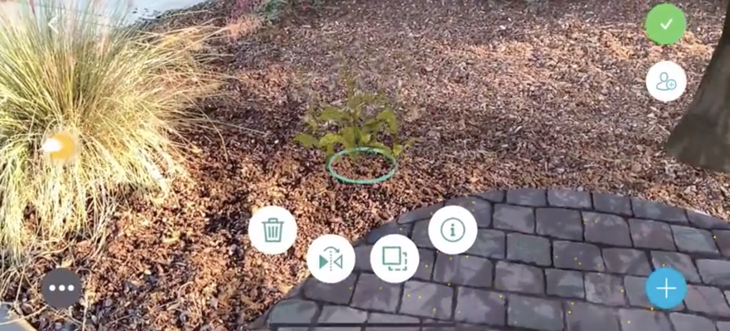 Step-By-Step Guide: Create Immersive Designs With iScape