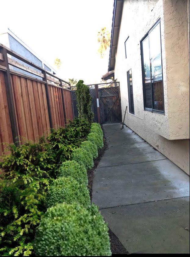 Create Side Yard Designs
