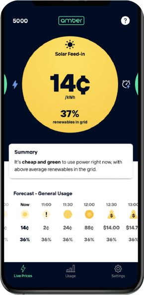 How Wholesale Electricity & the Amber Model Work