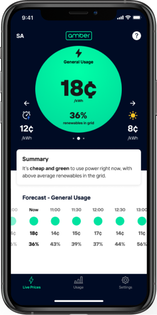 How Wholesale Electricity & the Amber Model Work