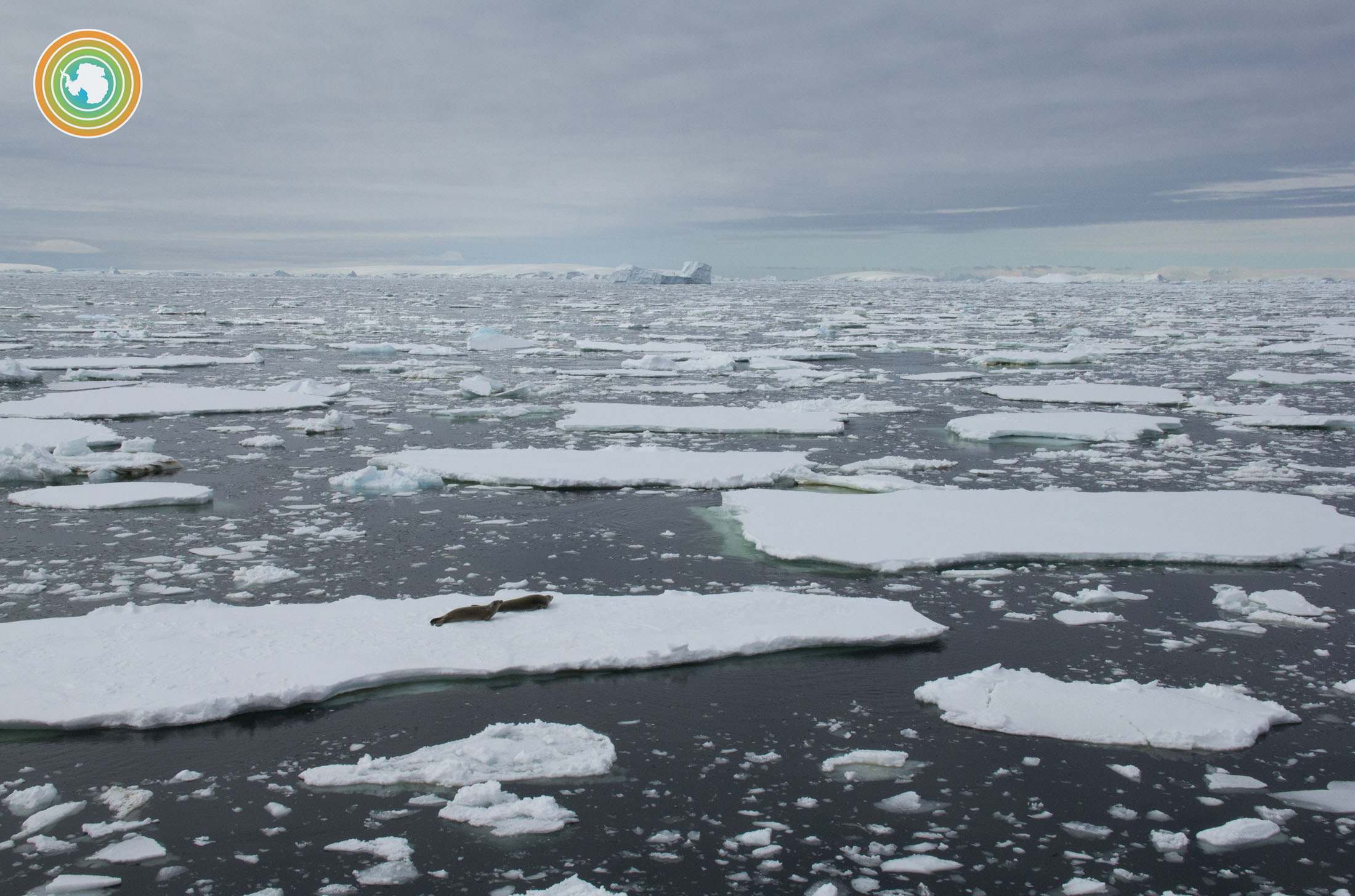 Studying Carbon Uptake in the Southern Ocean with USVs – Saildrone