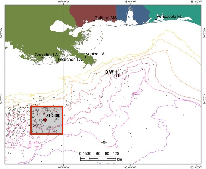 Studying Natural Oil Seeps in the Gulf of Mexico – Saildrone