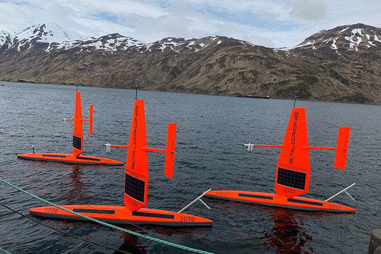 Largest USV Fleet Ever Launches 5th Annual Arctic Mission – Saildrone
