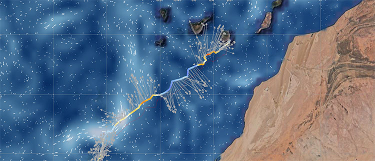 Surveying Ocean Eddies: Biological Productivity Hot Spots – Saildrone
