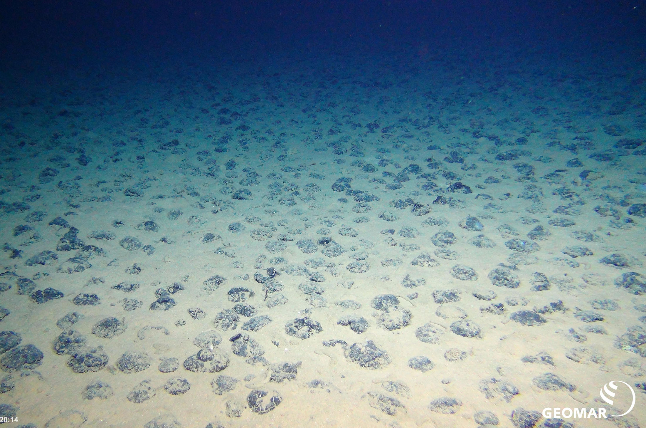 Building an Ecological Baseline in the Central Pacific – Saildrone