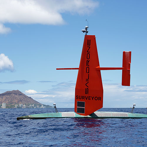 Saildrone Surveyor