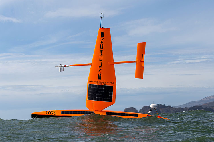 How Protecting Whales Helps Accelerate Renewable Energy – Saildrone